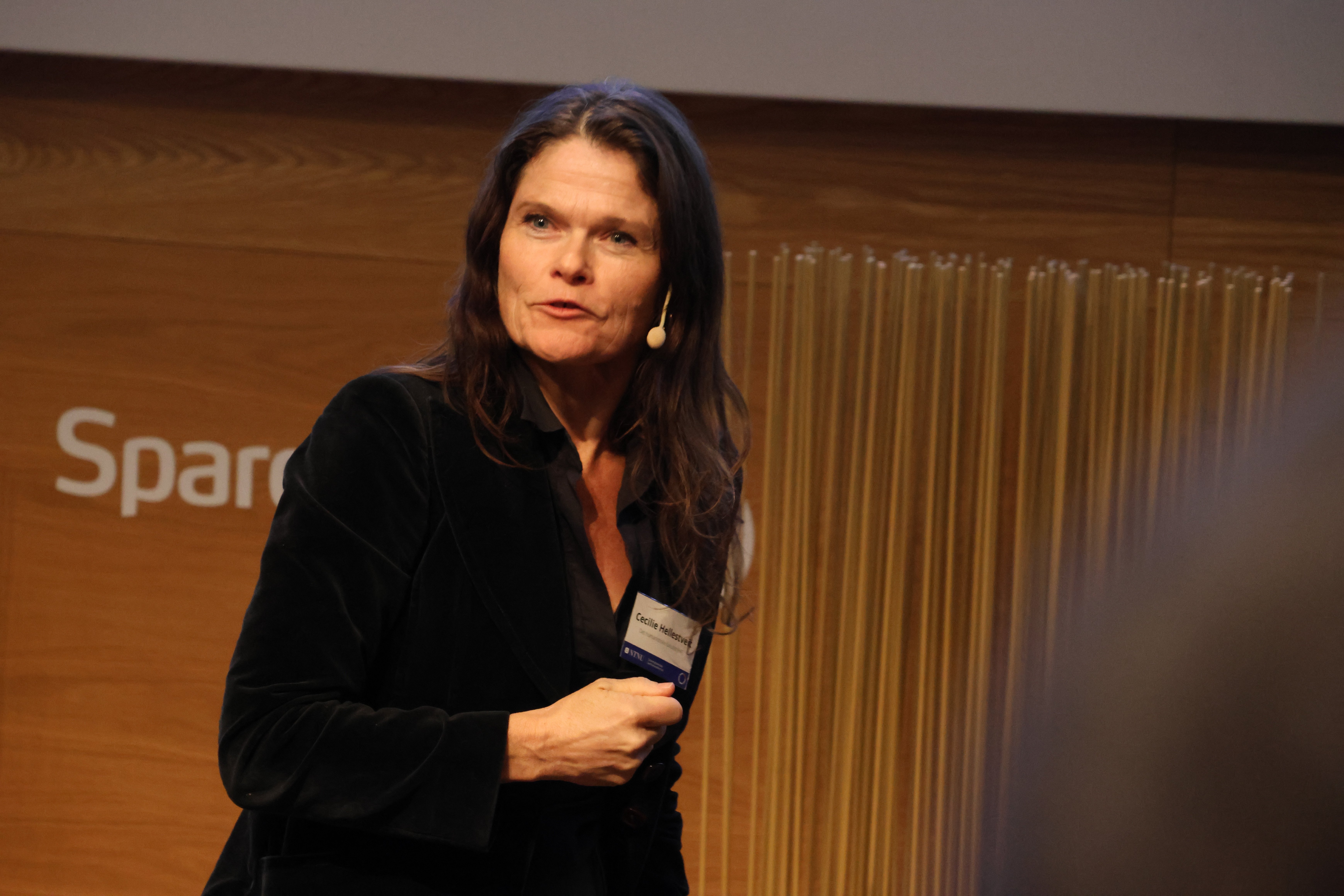 Fra søk og redning til hybride trusler: Fagdag droner - NTNU ...